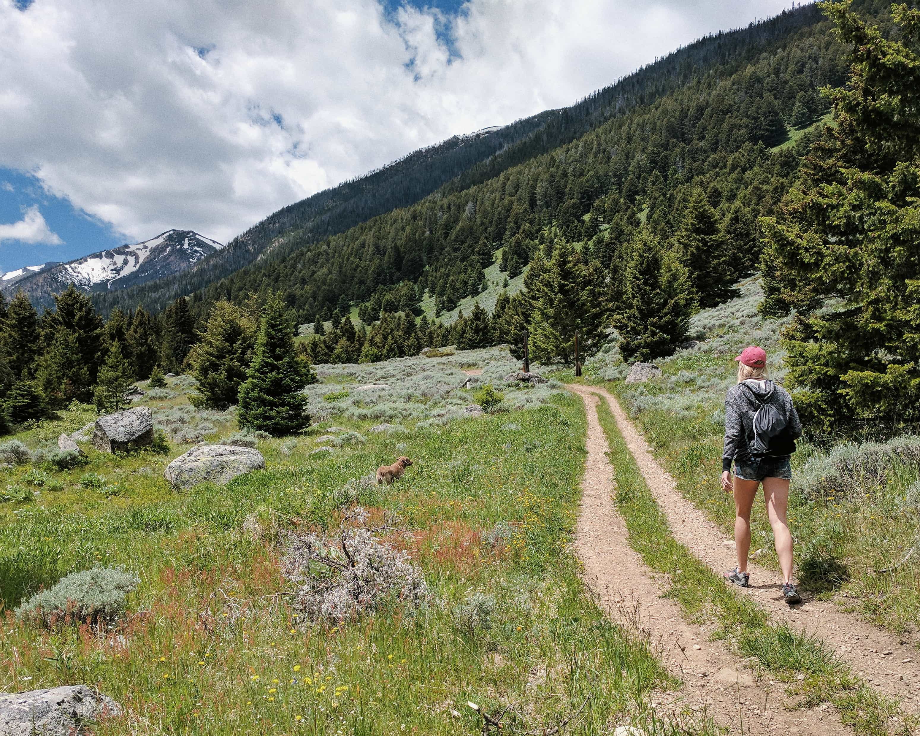 Hike To Bell Lake | A Fun And Challenging Hike Near Bozeman, MT
