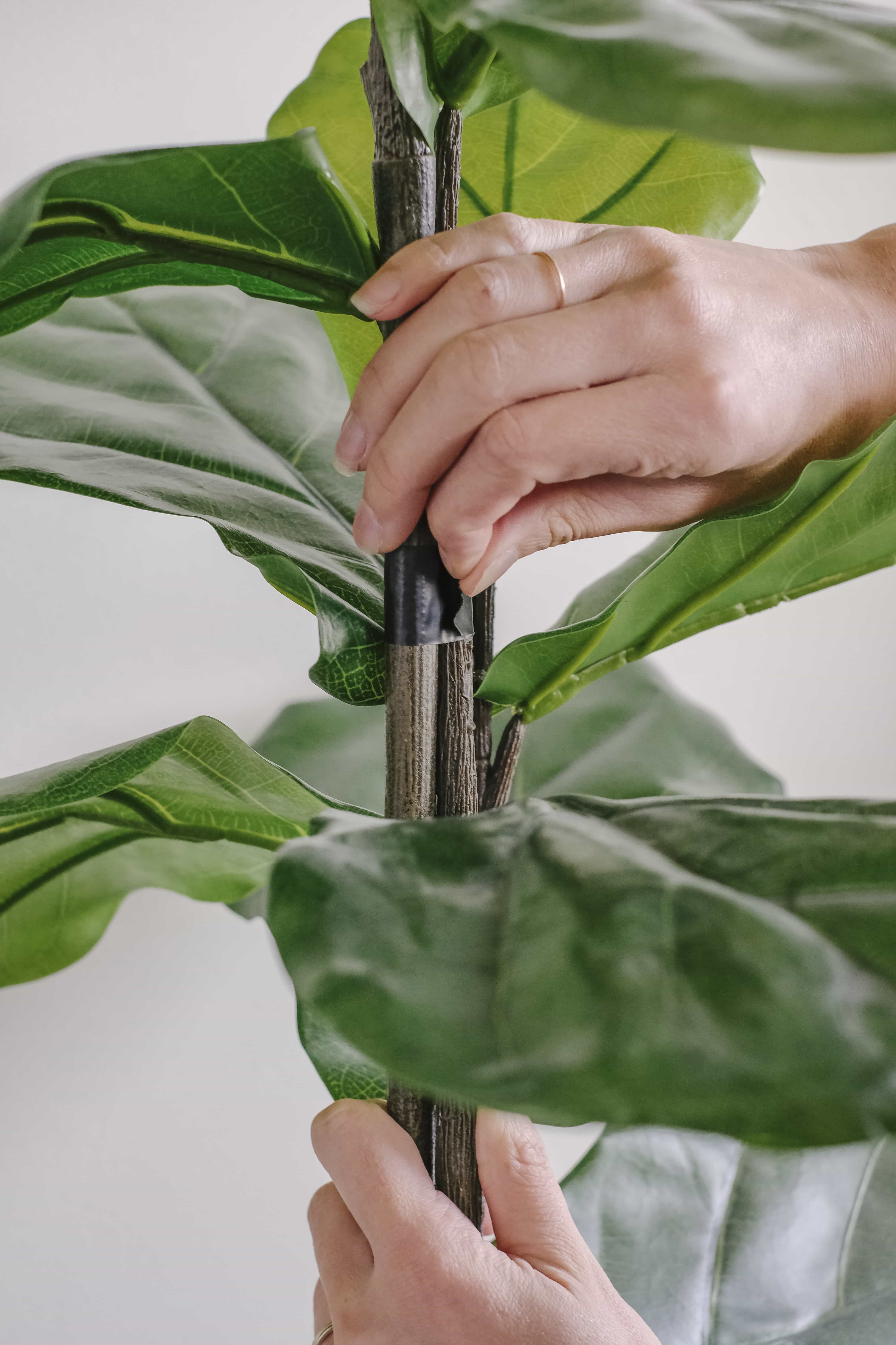 Easy Fiddle Leaf Fig Tree Hack | How To DIY Your Own