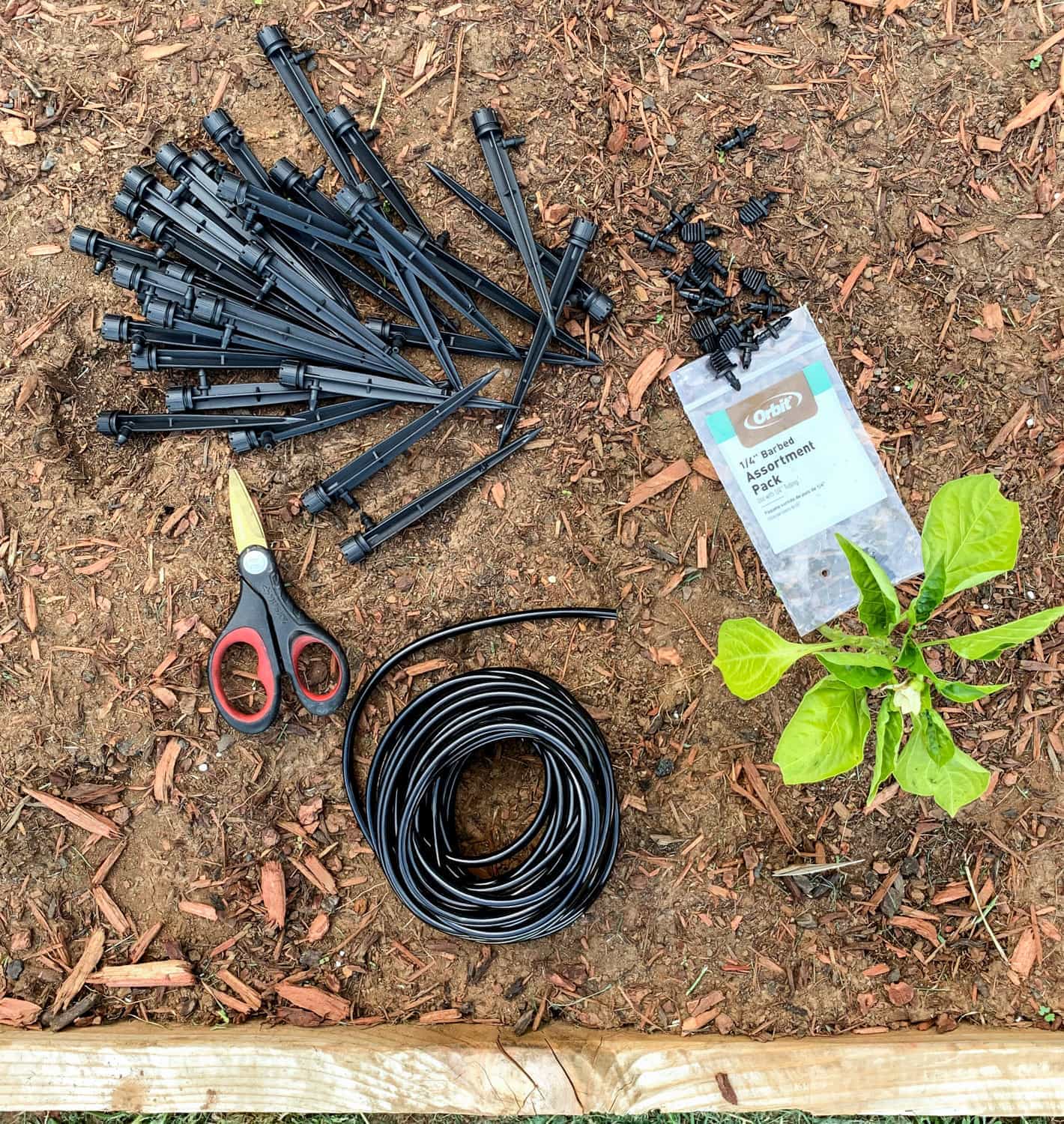 How To Install A Drip Irrigation System With Automatic Watering!